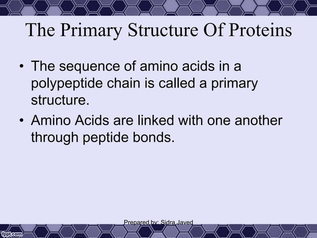 Proteins | PPTX | Biological Sciences | Science