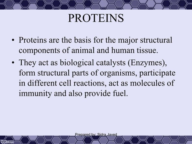 Proteins | PPTX | Biological Sciences | Science