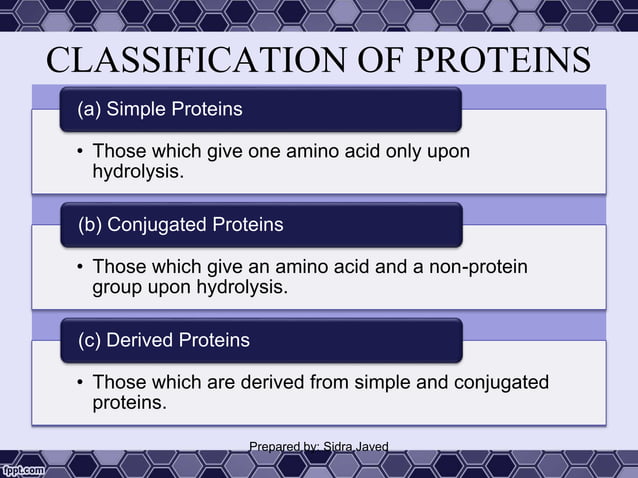 Proteins | PPTX | Biological Sciences | Science