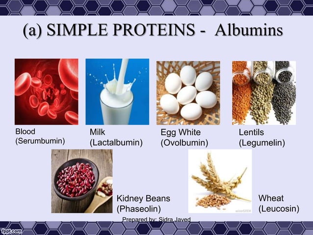 Proteins | PPTX | Biological Sciences | Science