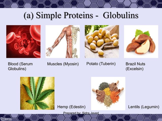 Proteins | PPTX | Biological Sciences | Science