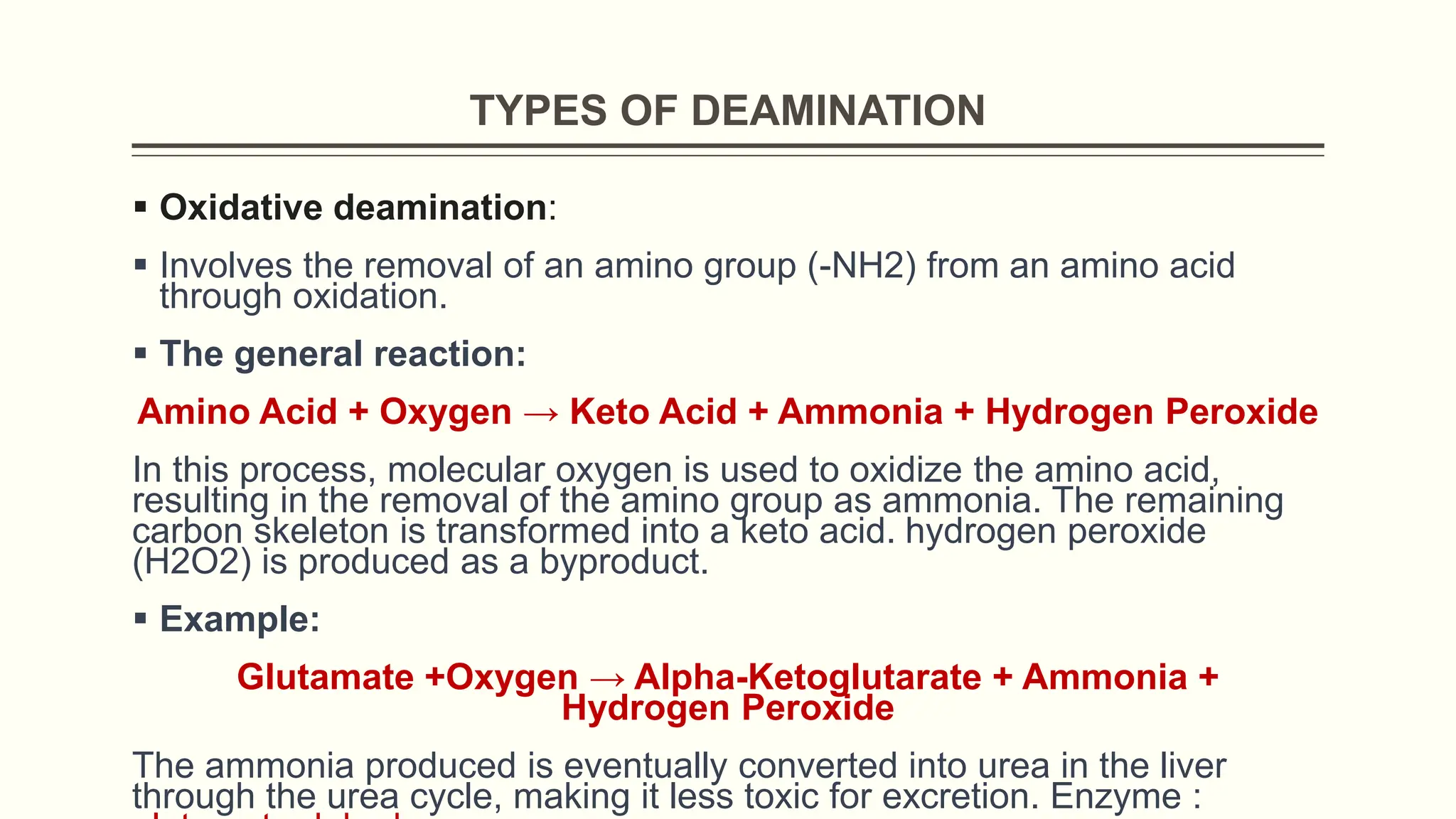 Catabolism of amino acids, transamination and deamination | PPTX ...