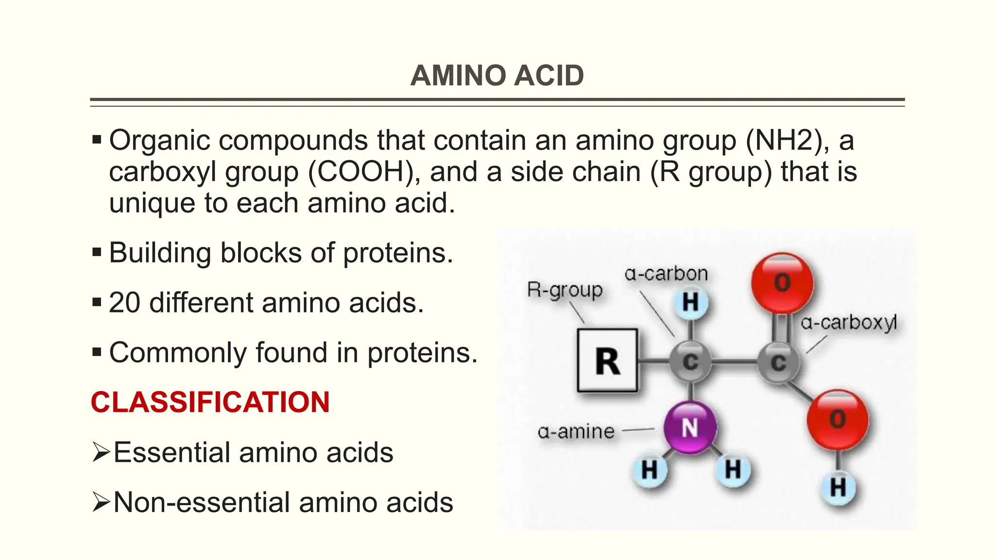 Catabolism of amino acids, transamination and deamination | PPTX