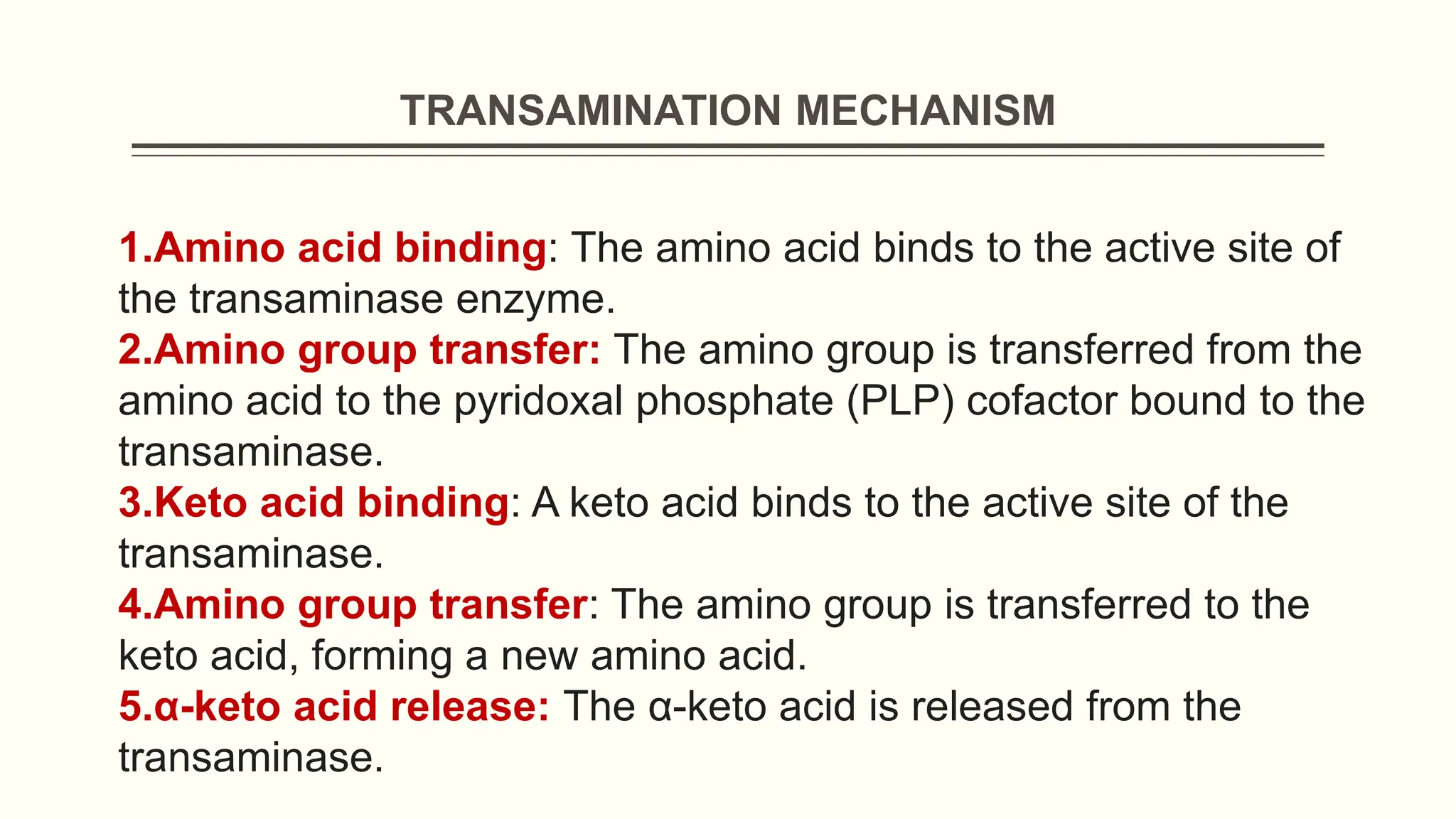 Catabolism of amino acids, transamination and deamination | PPTX