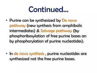 biochemistry 2sem ppt about nucleic acid .pptx