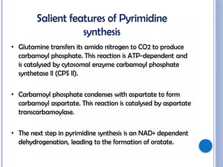 biochemistry 2sem ppt about nucleic acid .pptx