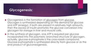 Glycogenesis and Glycogenolysis (BIOCHEMISTRY) | PPTX