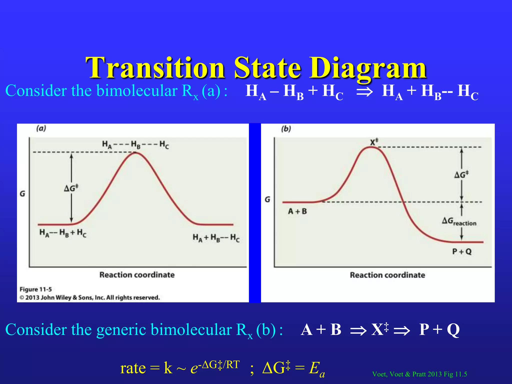 Biochemistry 304 2014 student edition enzymes and enzyme kinetics | PPTX