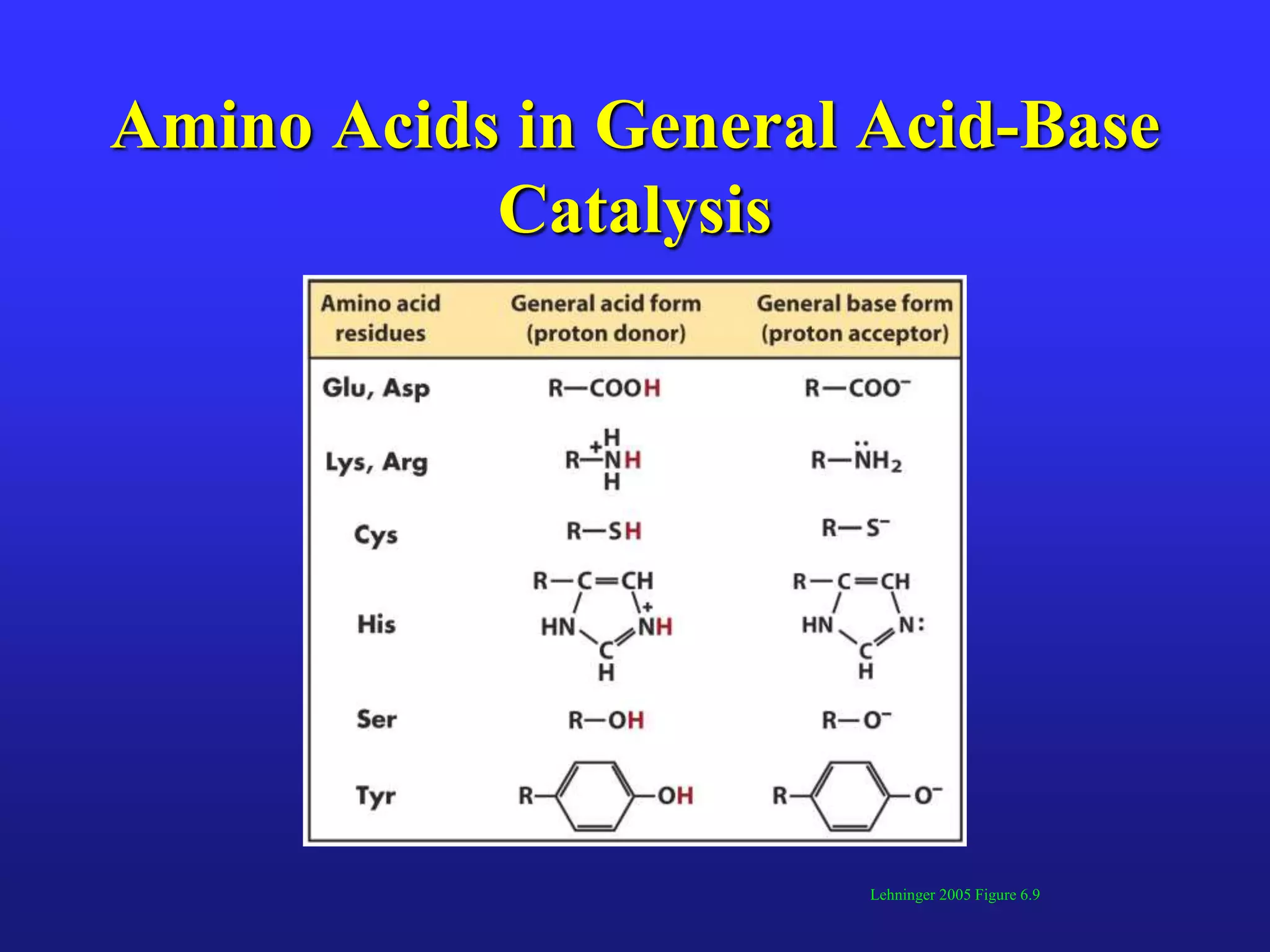 Biochemistry 304 2014 student edition enzymes and enzyme kinetics | PPTX
