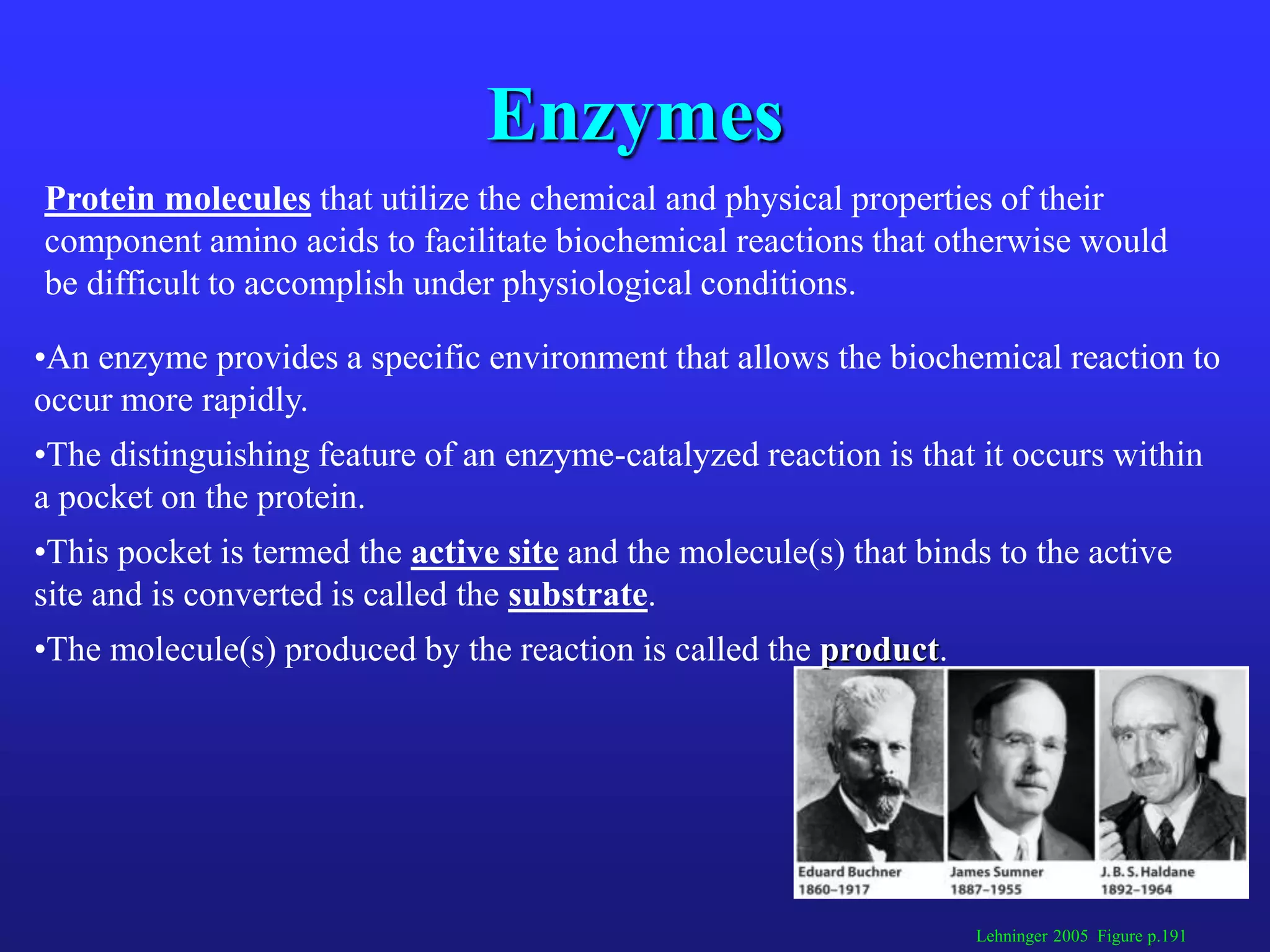 Biochemistry 304 2014 student edition enzymes and enzyme kinetics | PPTX