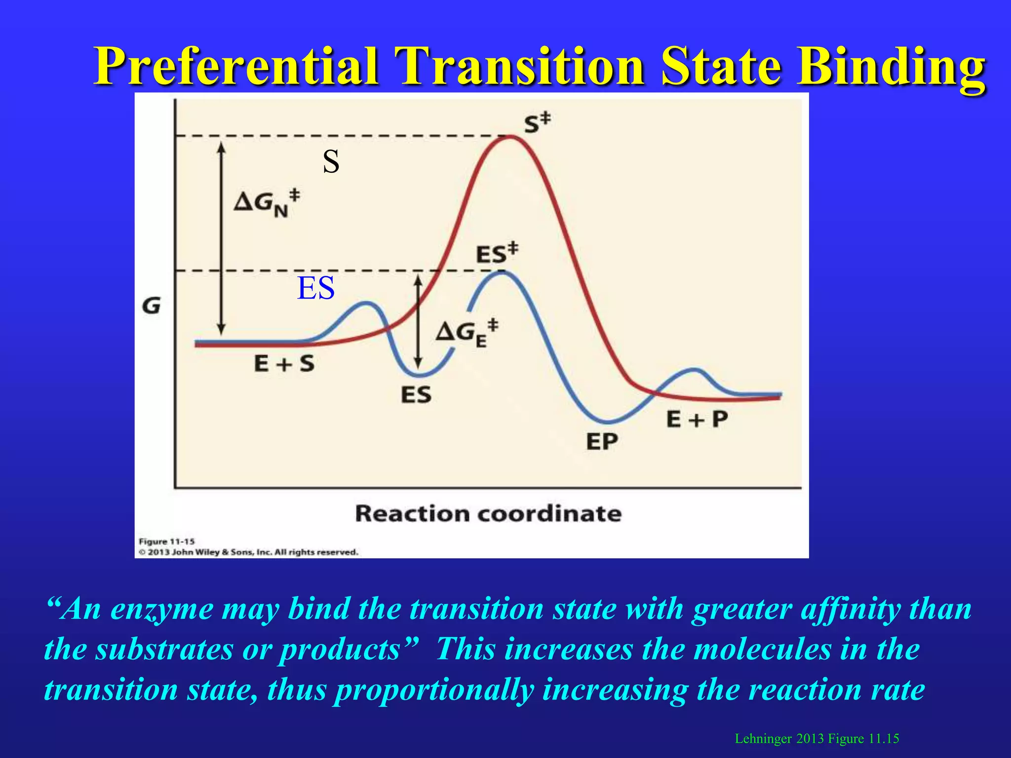 Biochemistry 304 2014 student edition enzymes and enzyme kinetics | PPTX
