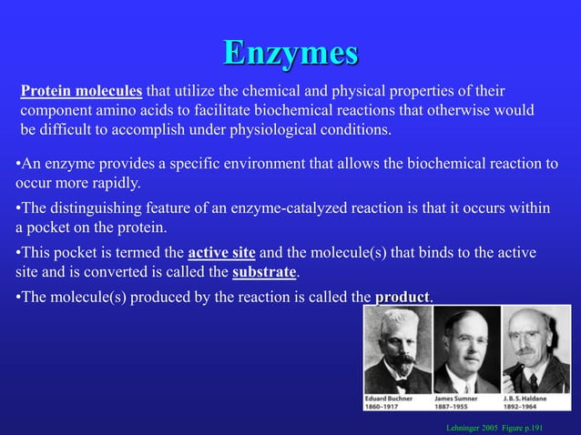 Biochemistry 304 2014 student edition enzymes and enzyme kinetics | PPTX