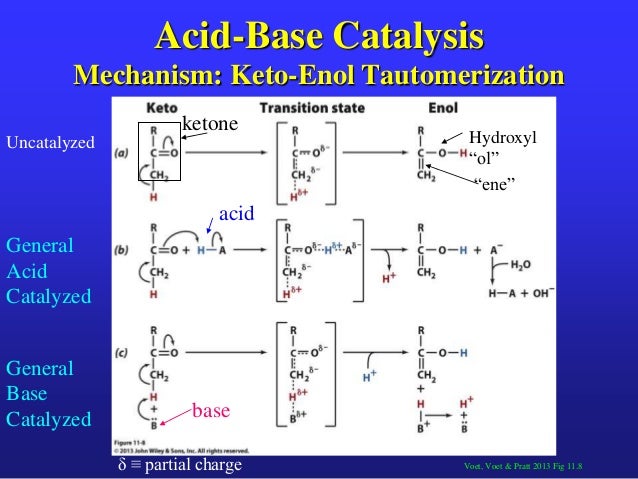 😊 Acid base catalysis in enzymes. Acid catalysis. 2019-01-10