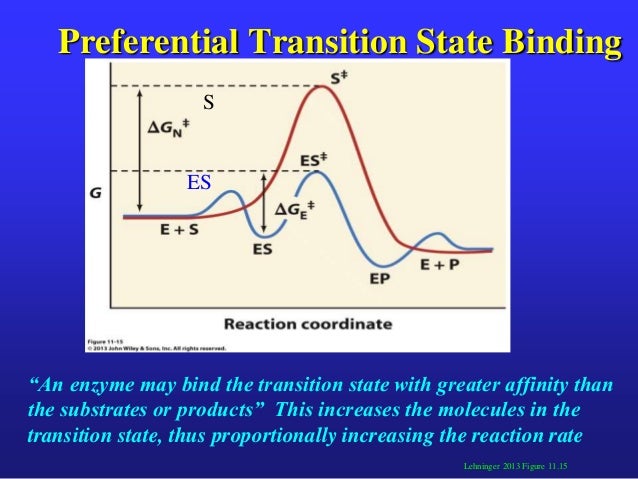 Biochemistry 304 2014 student edition enzymes and enzyme kinetics