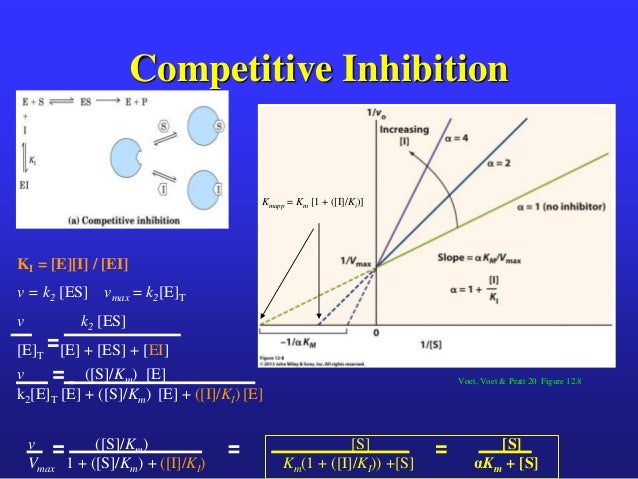 Biochemistry 304 2014 student edition enzymes and enzyme kinetics