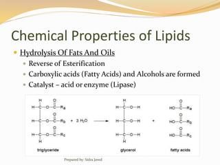 Chemical Structure Of Fats