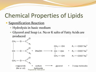 Chemical Structure Of Lipids