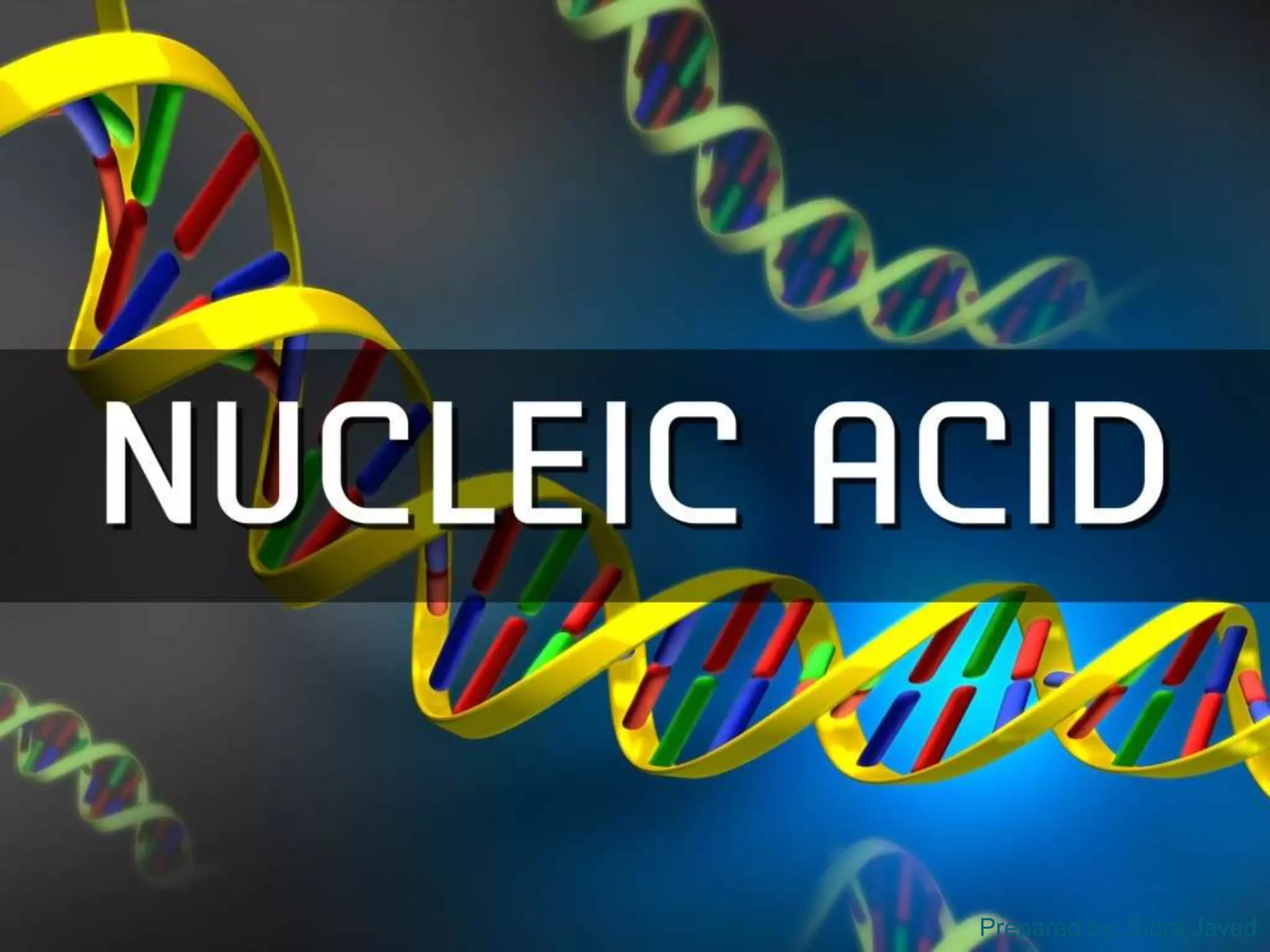 Nucleic Acids | PPTX