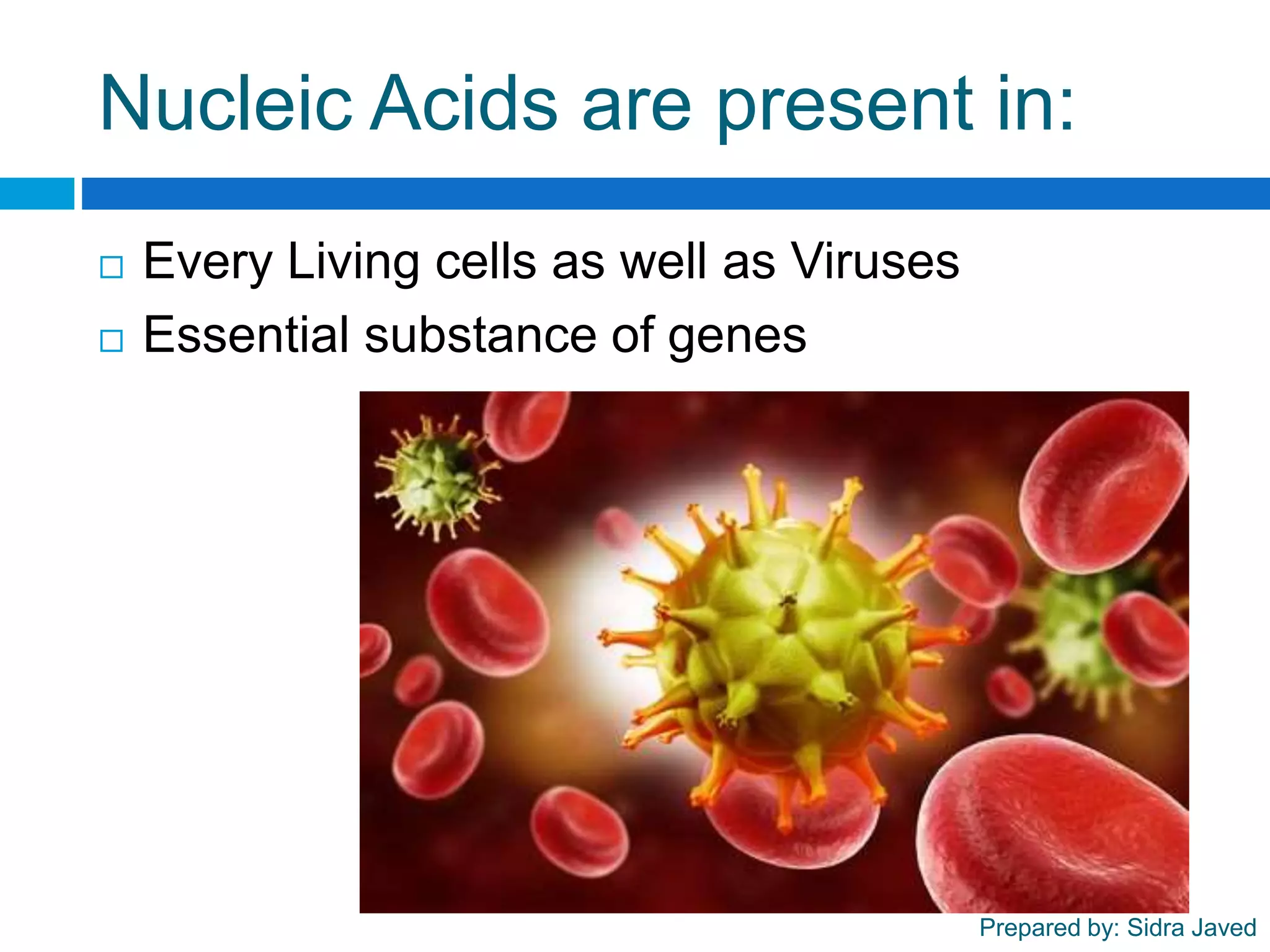 Nucleic Acids | PPTX