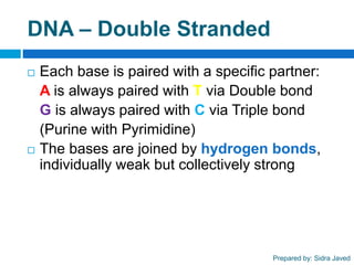 Nucleic Acids | PPT