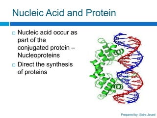 Nucleic Acids | PPT