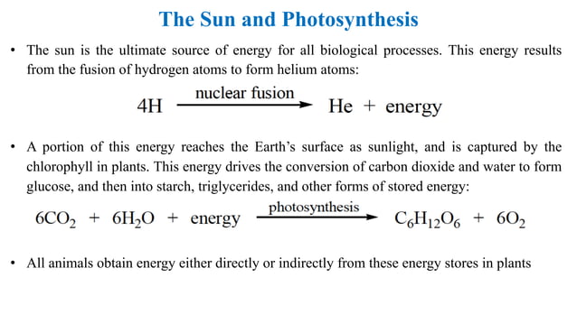 Biochemistry_Bioenergetics | PDF