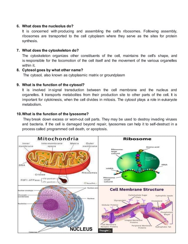 Biochemistry activity | DOCX | Physics | Science