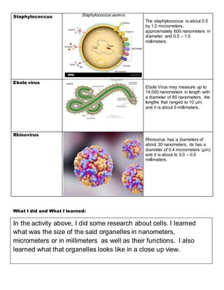 Biochemistry activity | PDF