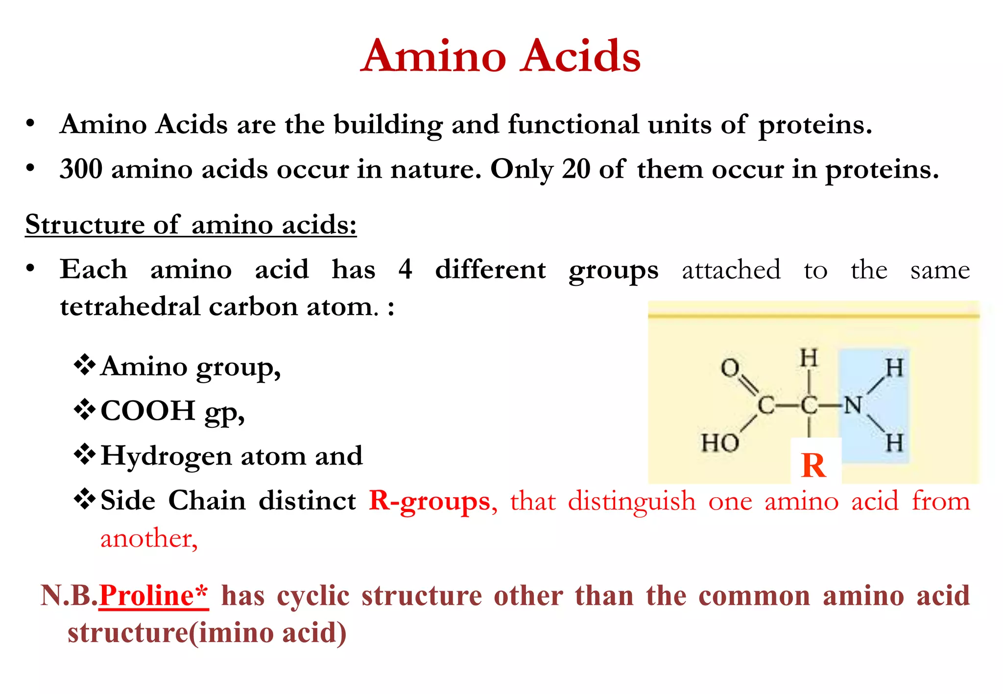 Biochemistry (amino acids and proteins-1) (8).pptx