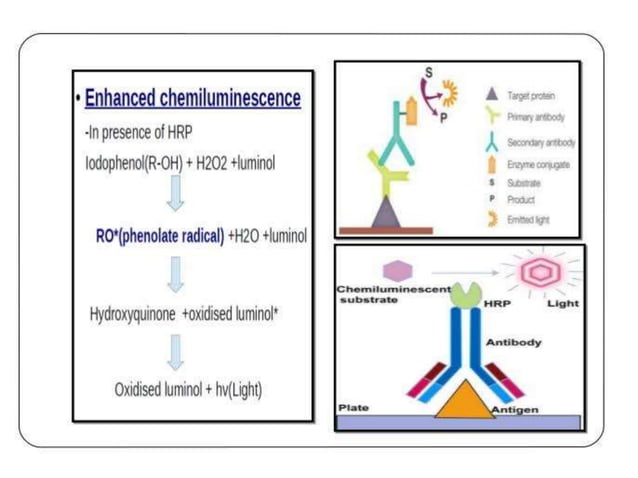 biochemistry_analyzers.pptx | Chemistry | Science