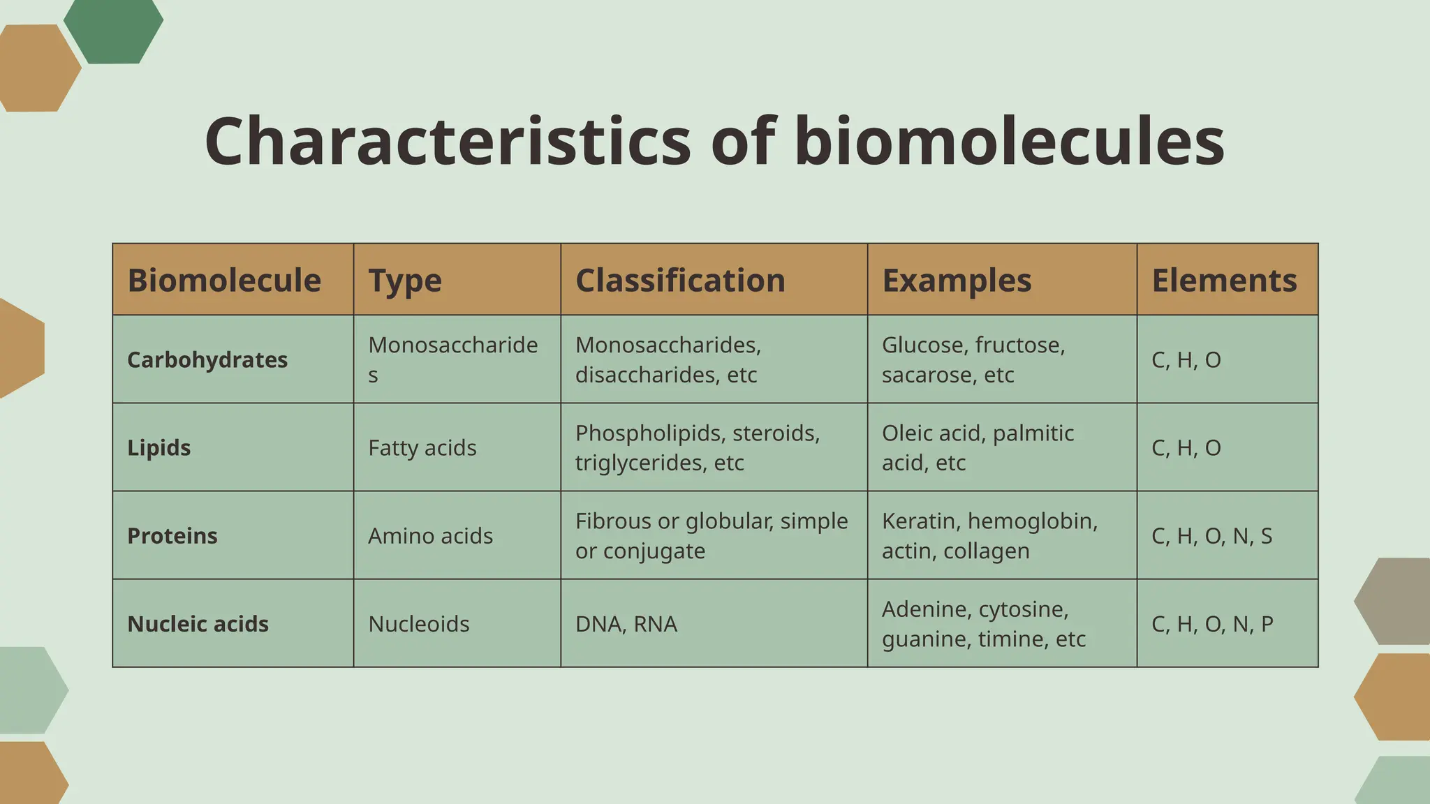 Biochemistry and Biomolecules - Science - 9th Grade _ by Slidesgo.pptx
