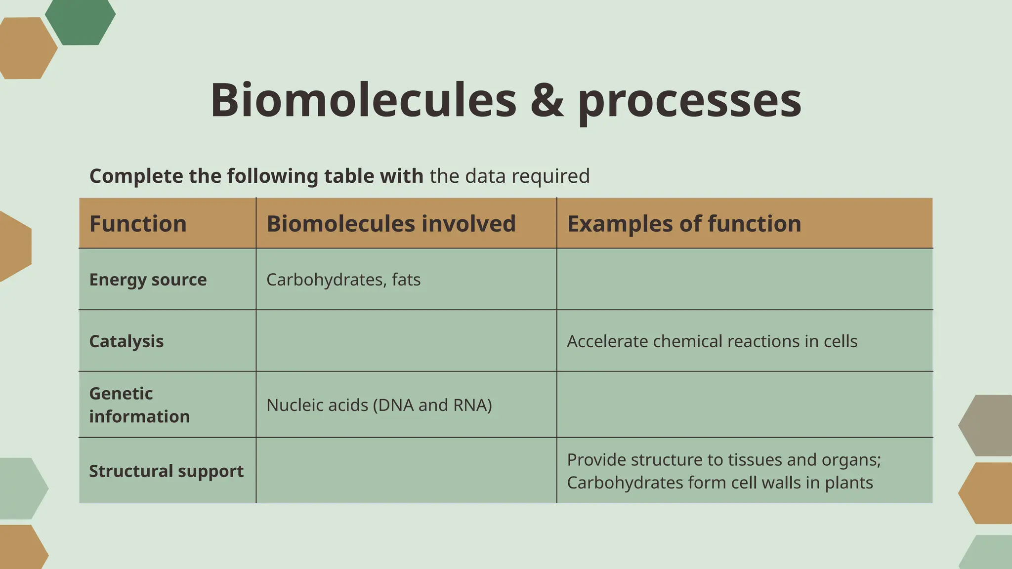 Biochemistry and Biomolecules - Science - 9th Grade _ by Slidesgo.pptx