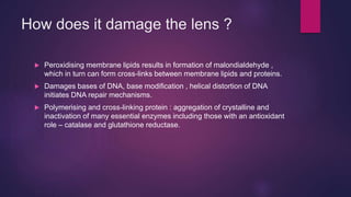 Biochemistry and biophysics of lens | PPTX