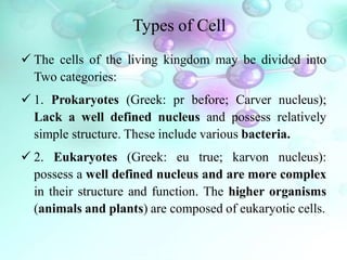 Biochemistry and Clinical Pathology cell | PDF