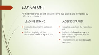 DNA REPLICATION BY NOHA ARSHAD | PPT