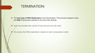DNA REPLICATION BY NOHA ARSHAD | PPT