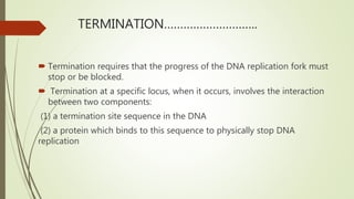 DNA REPLICATION BY NOHA ARSHAD | PPT