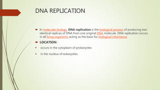 DNA REPLICATION BY NOHA ARSHAD | PPT