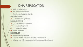 DNA REPLICATION BY NOHA ARSHAD | PPT