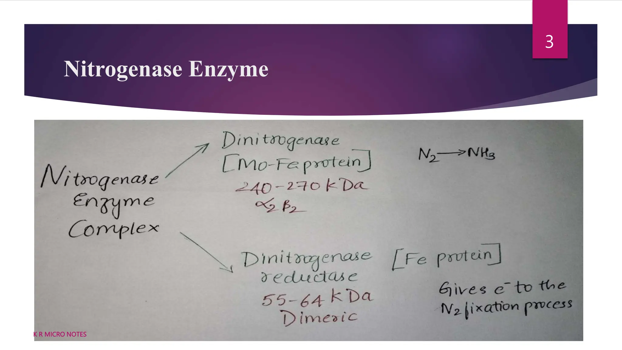 Biochemistry and genetics of Nitrogen fixation in Rhizobium K R.pptx