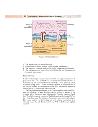 Biochemistry And Nutrition For Bsc (Nursing).pdf