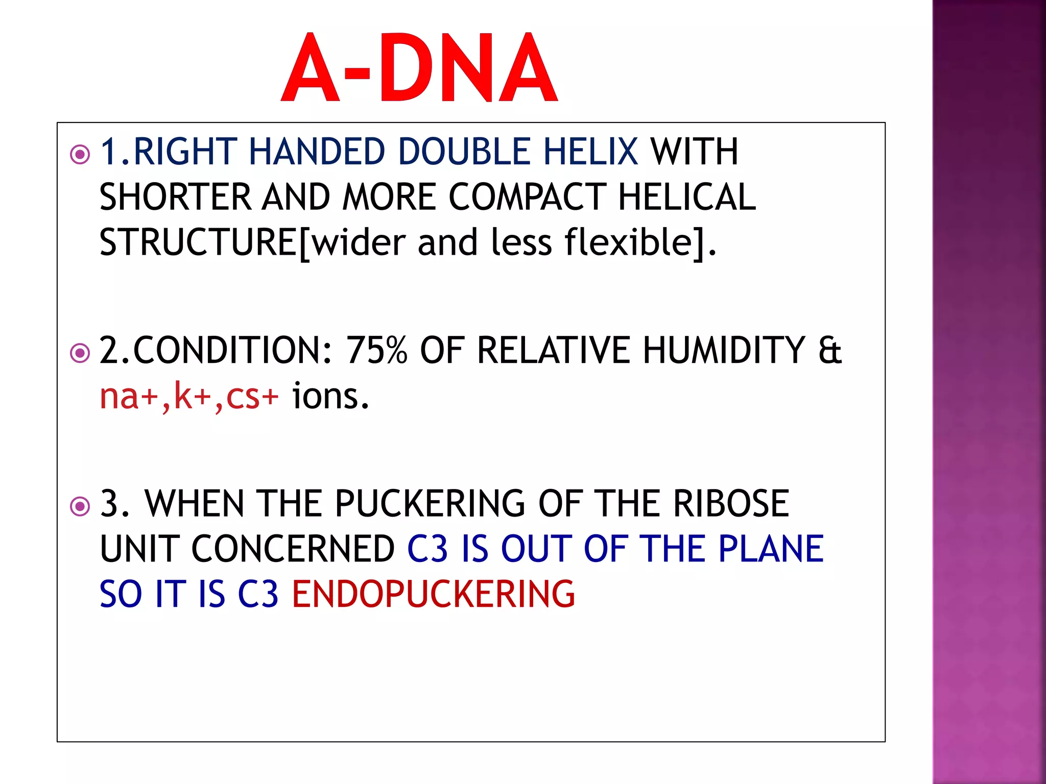 A,B,C,Z DNA | PPTX
