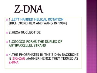 A,B,C,Z DNA | PPTX