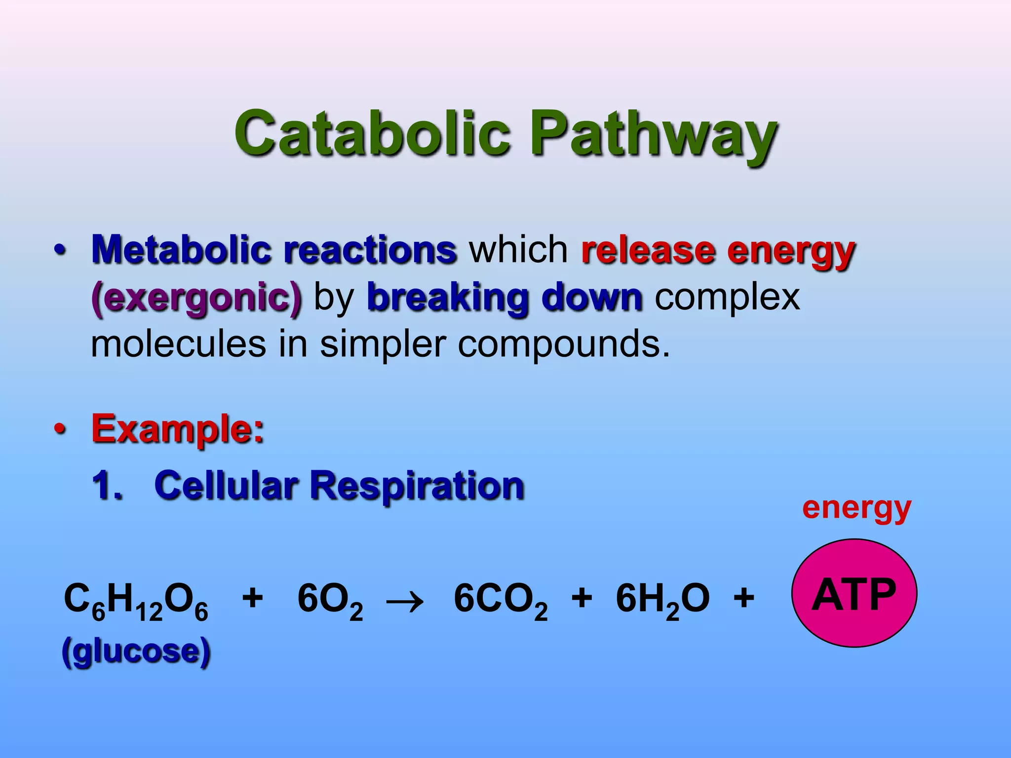 Biochemistry Bioenergetics | PPTX