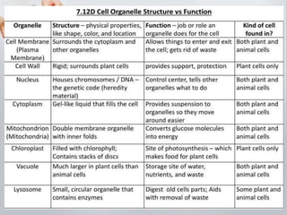 Biochemistry, Biomolecules and Cell: An Introduction | PPTX