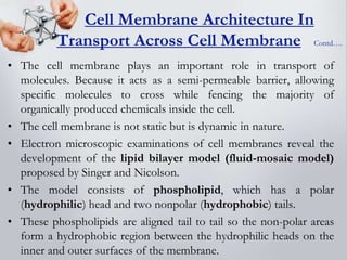 Biochemistry, Biomolecules and Cell: An Introduction | PPTX