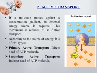 Biochemistry, Biomolecules and Cell: An Introduction | PPTX