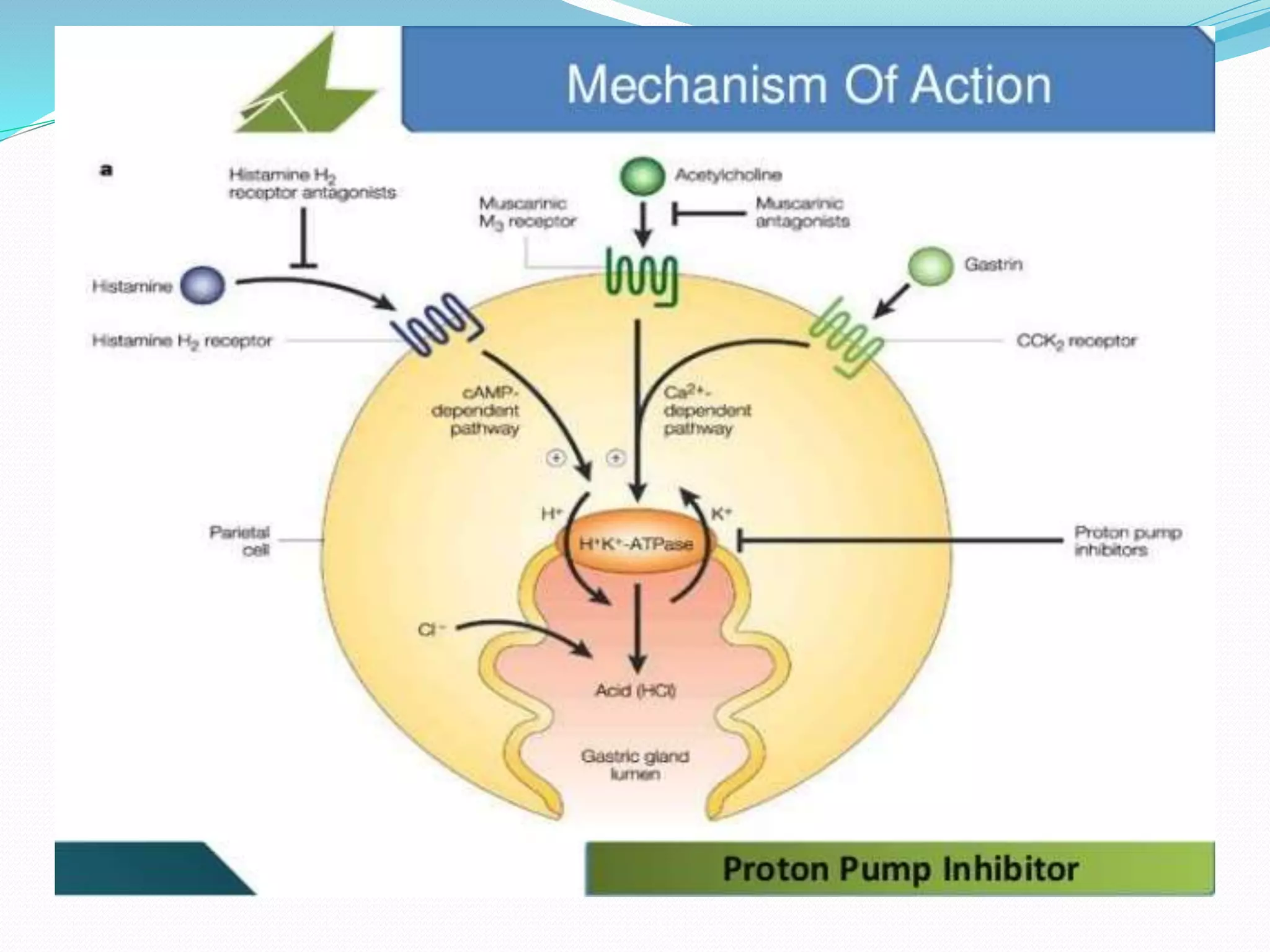 Is Proton pump inhibitors (PPIs) the best treatment for ...