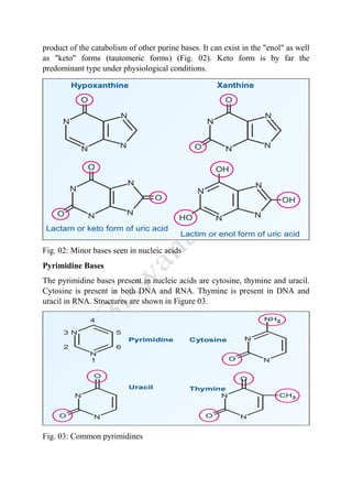 Biochemistry by Lecture Biswanath.pdf