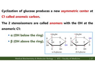 biochemistry carbohydrates full chapter-Copy.pdf